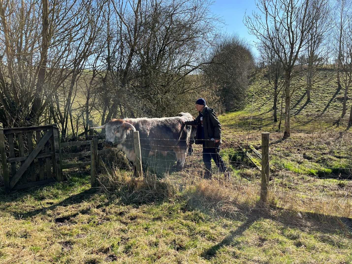 North of England ReForest Living Lab coppicing workshop, Sleastonhow ...