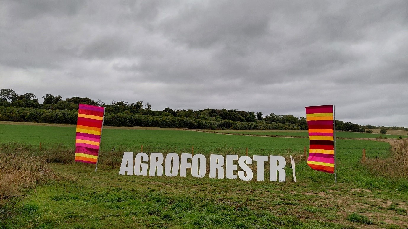 ReForest Leads Training Hub at Agroforestry Show 2025 at Woodoaks Farm, UK – Reforest project